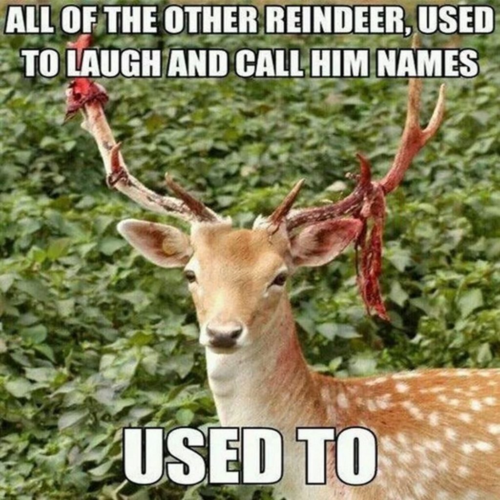 45 Hilarious Christmas Memes That Will Have You in Stitches - Christmas ...
